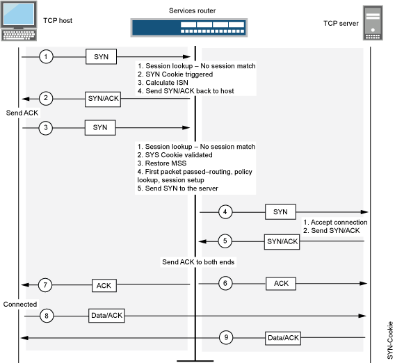 SYN Flood Attack and SYN Cookies--Future Snow