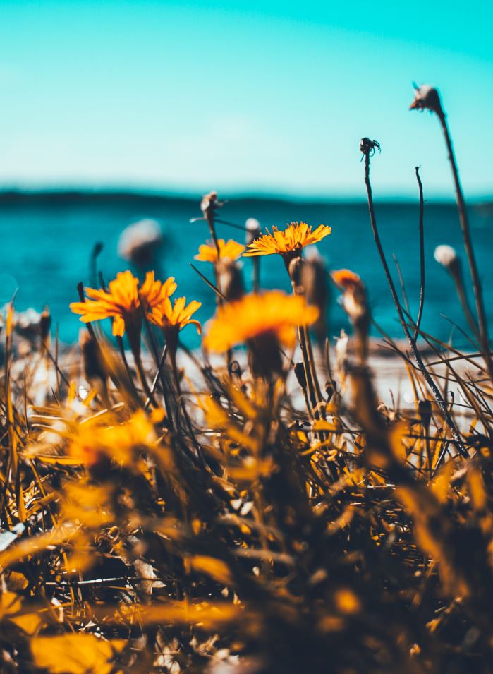 Daily Photography Inspiration - 39 Pics - Daily Inspiration