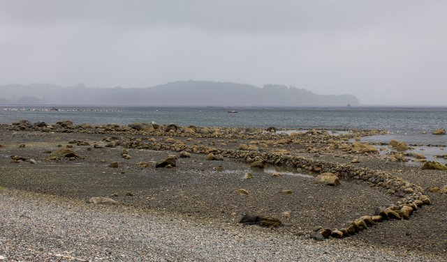 Más de 200 personas conocieron los conchales de la comuna de Puerto Montt