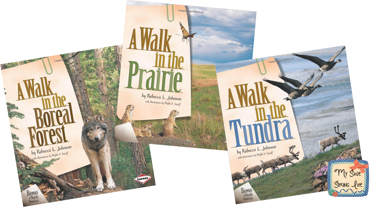 Must Read Mentor Texts: A Walk In Text set... | My Shoestring Life