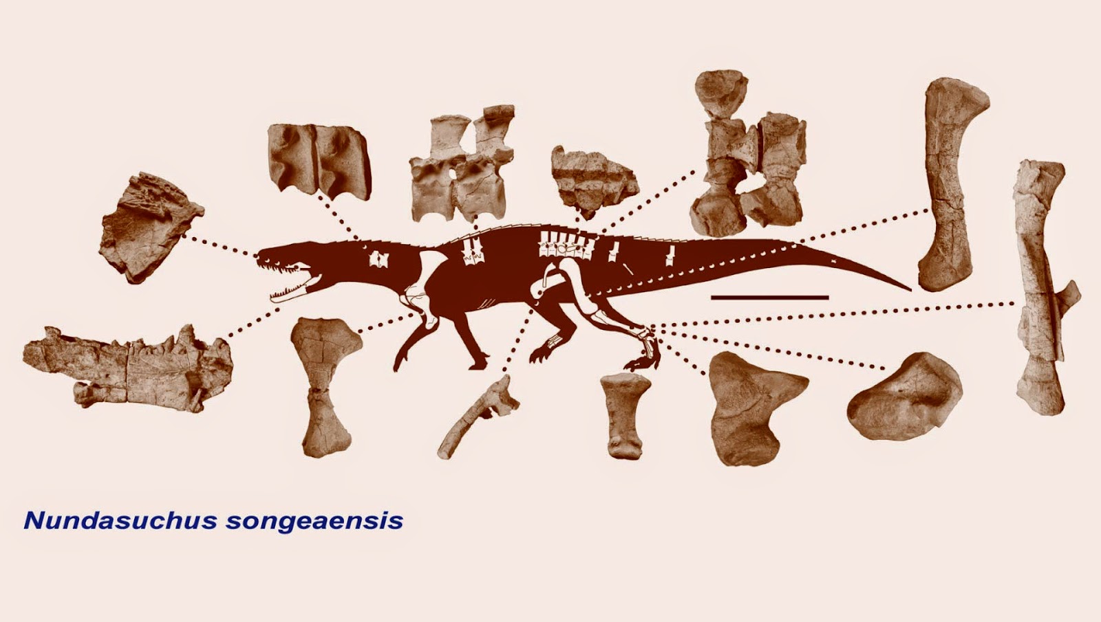 Τέχνης Σύμπαν και Φιλολογία: Πανάρχαιος κροκόδειλος με δόντια μαχαίρια ...