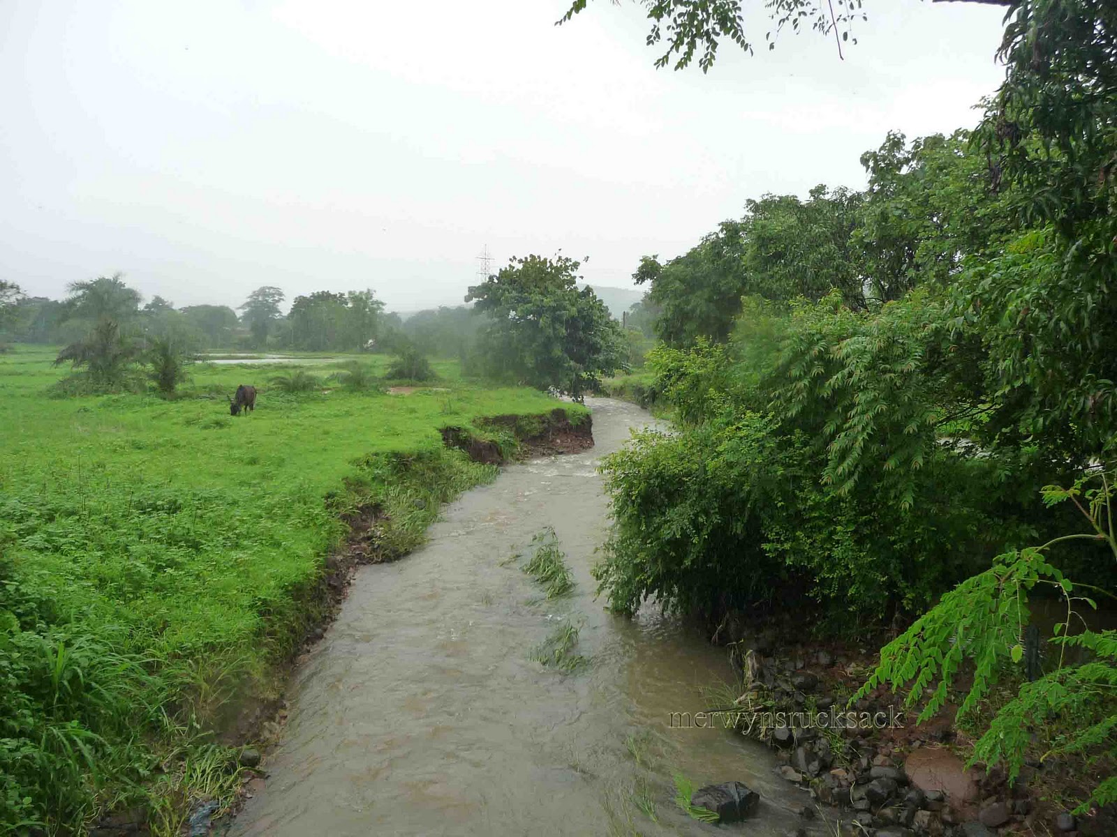 Chinchoti Waterfall in Vasai (E) | The journey of a thousand miles ...