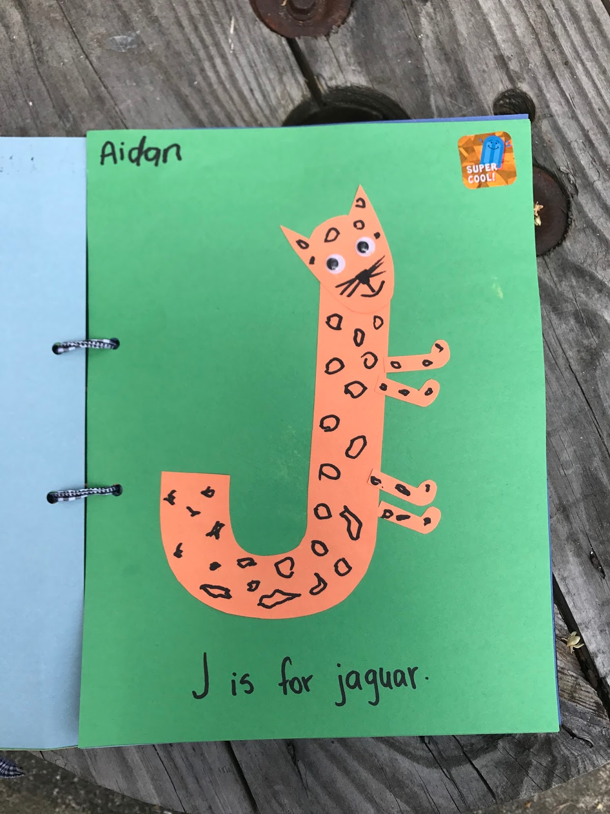 Serendipitous Discovery: DIY Toddler Alphabet Book