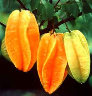 Types of Star Fruit - Health Food Nutrition