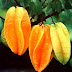 Types of Star Fruit - Health Food Nutrition