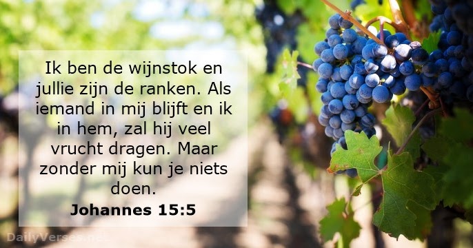 Leef je geloof: Vrucht dragen