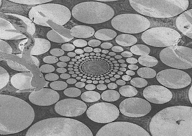 Blog 75: Arts: Land art-Jim Denevan