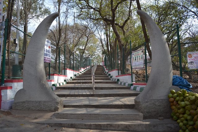 Sights and Insights: On My Visit to Basavangudi (The famous Bull Temple ...