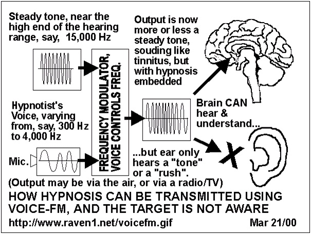 ELECTRONIC HARASSMENT V2K