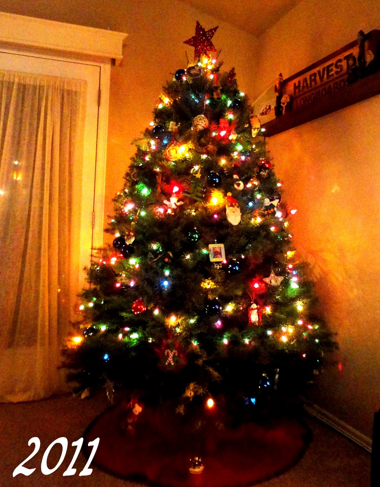 C3's Adventures: Our perfect Christmas Tree!