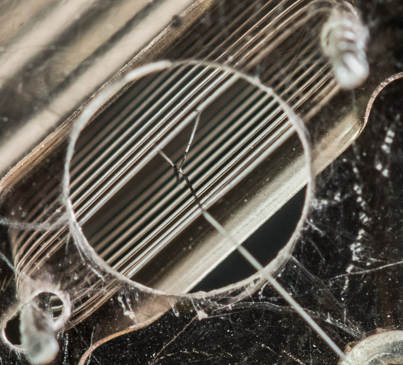 VinylSavor: Tube of the Month : The 1H4