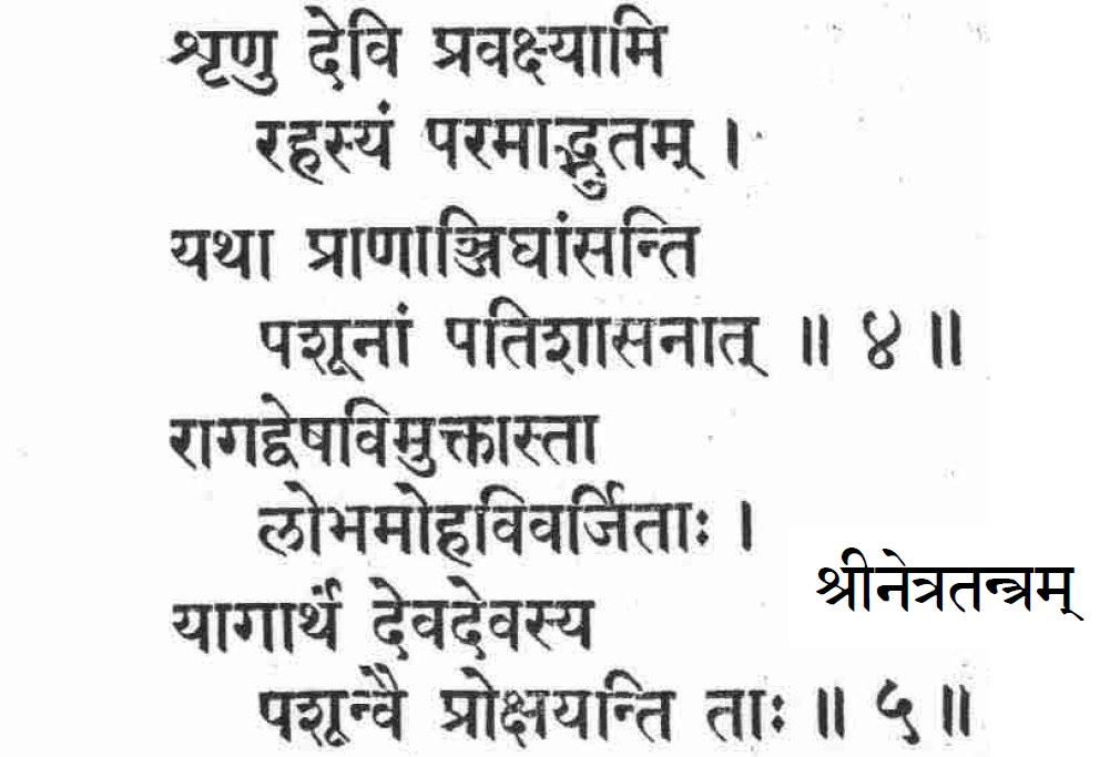 Hindu Astrology: Dikshita