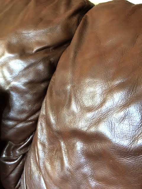 jacki long: Day 2123: The story of the lumpy couch.