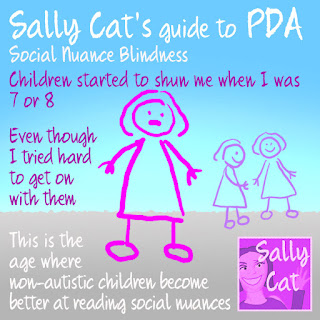 Sally Cat PDA: How I understand PDA (in language kids can understand)