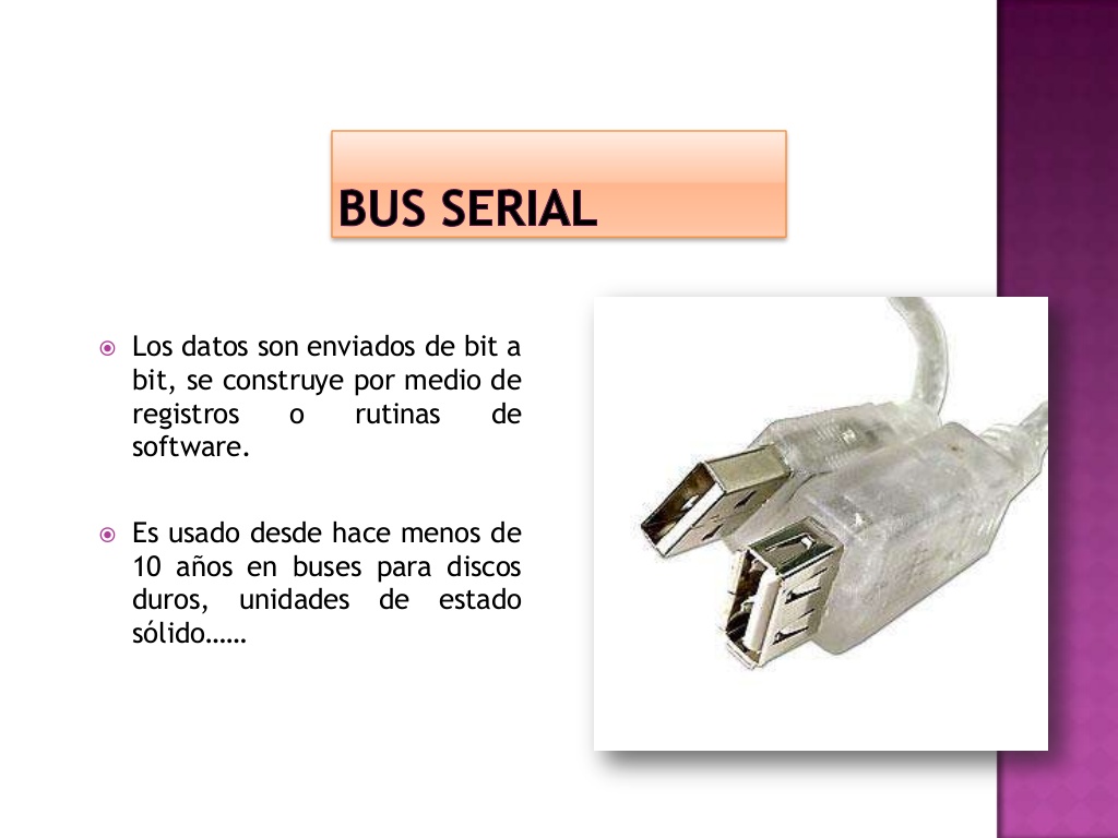Informática: Placa Madre : Bus de Datos