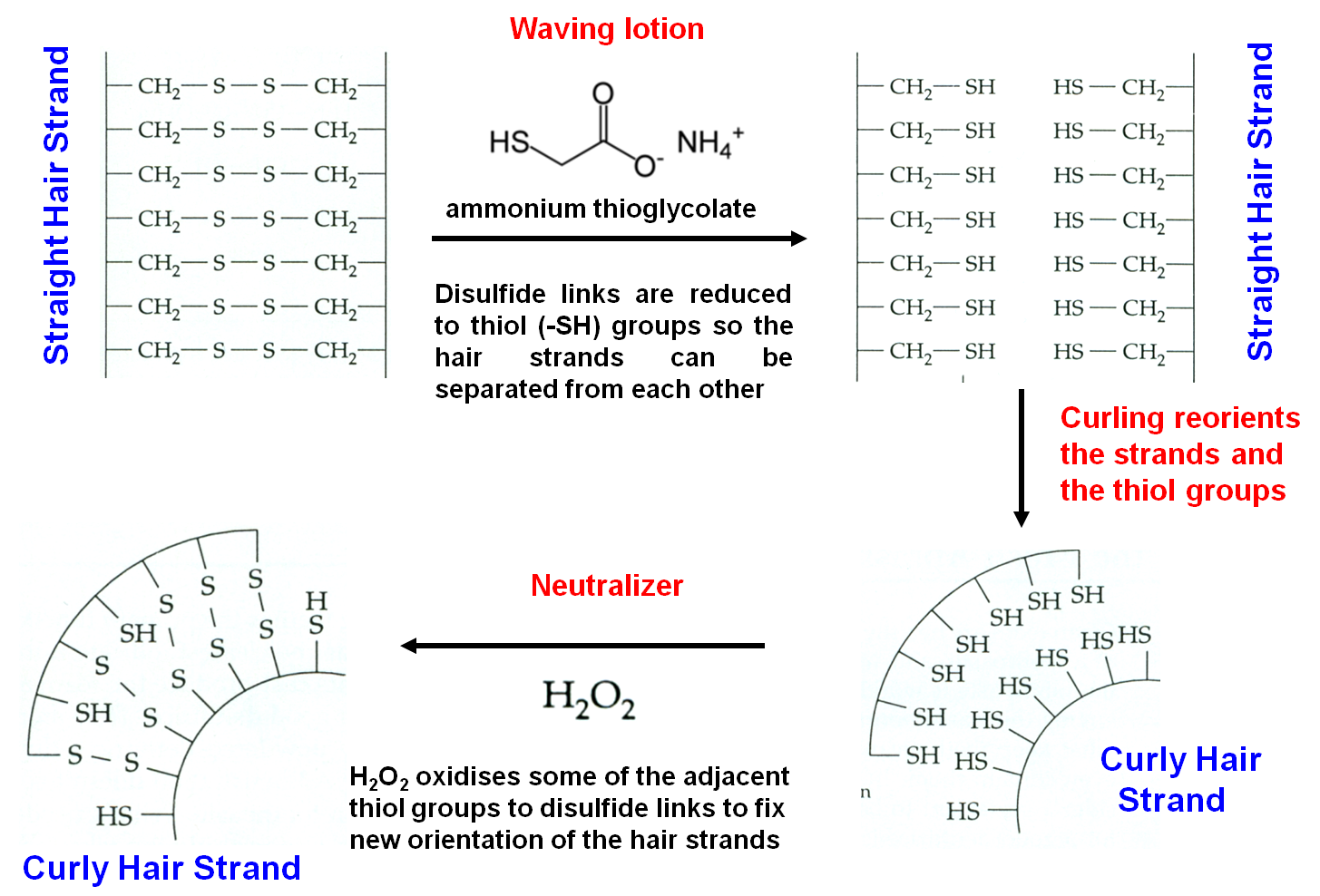 Style Your Hair With Chemistry