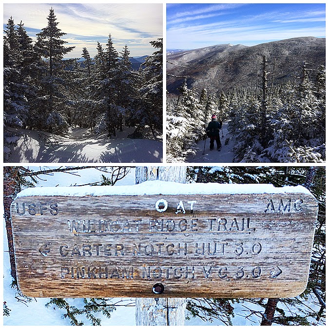 Hiking in the White Mountains: Here Kitty Kitty : Wildcat D and A Peaks