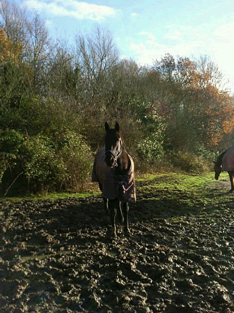 Lemon Layer Cake: Rainy Day Blues - or - The Mud Post