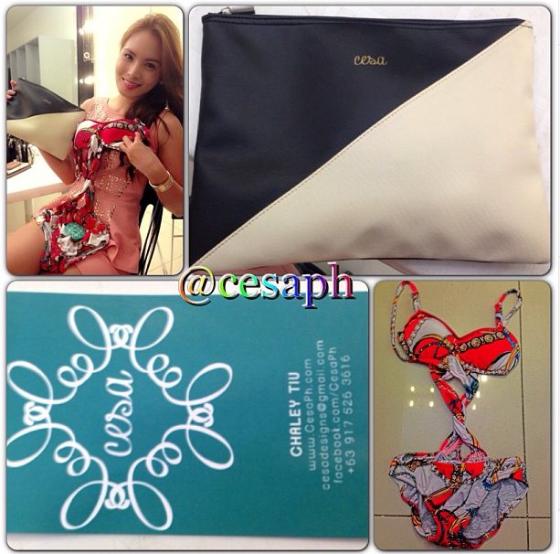 Who's In Cesa (features) | Cesa PH