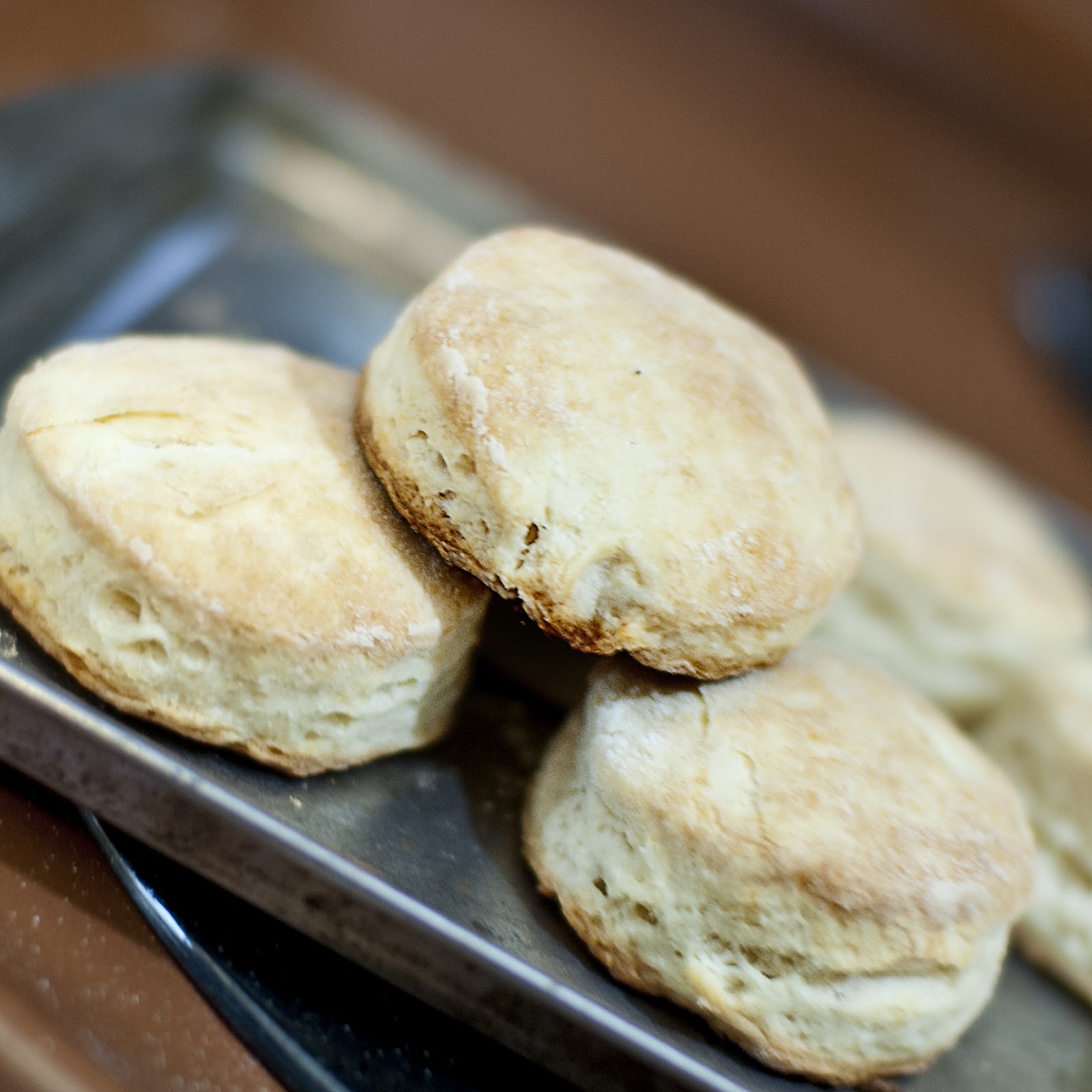 Oh, the Humidity!: Biscuits, Fools!