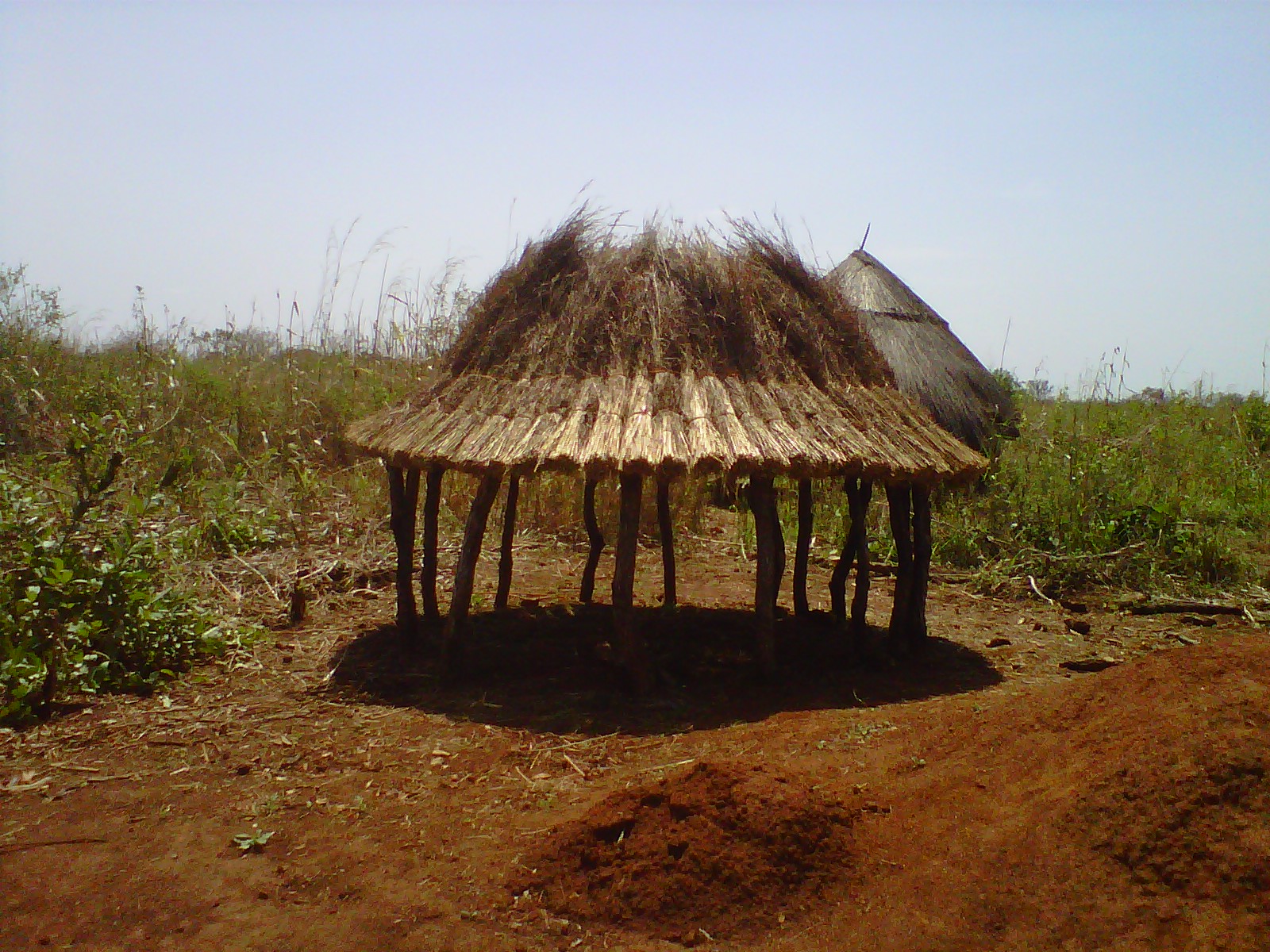 Building an Acholi House