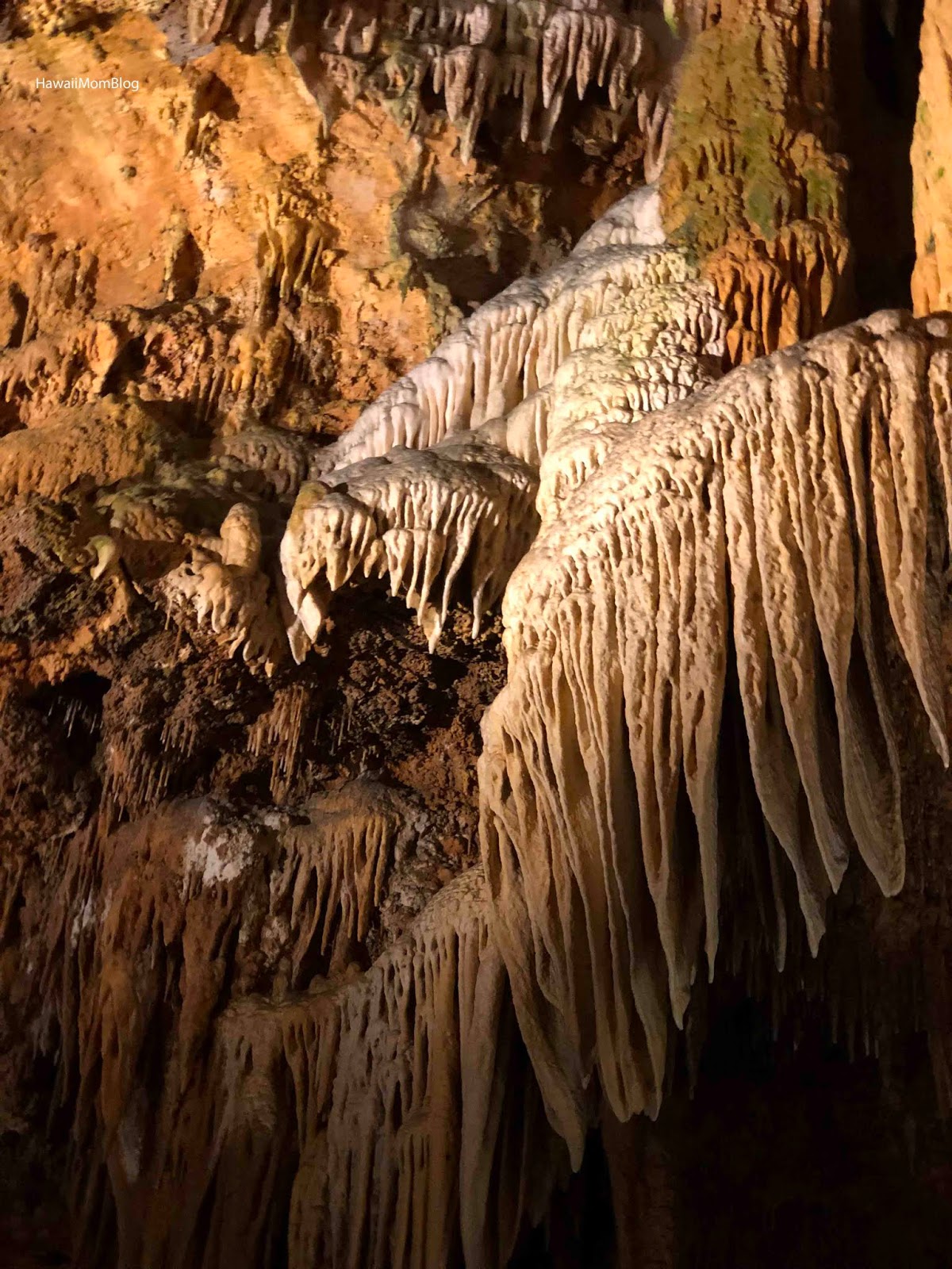 Hawaii Mom Blog: Visit Virginia: Luray Caverns