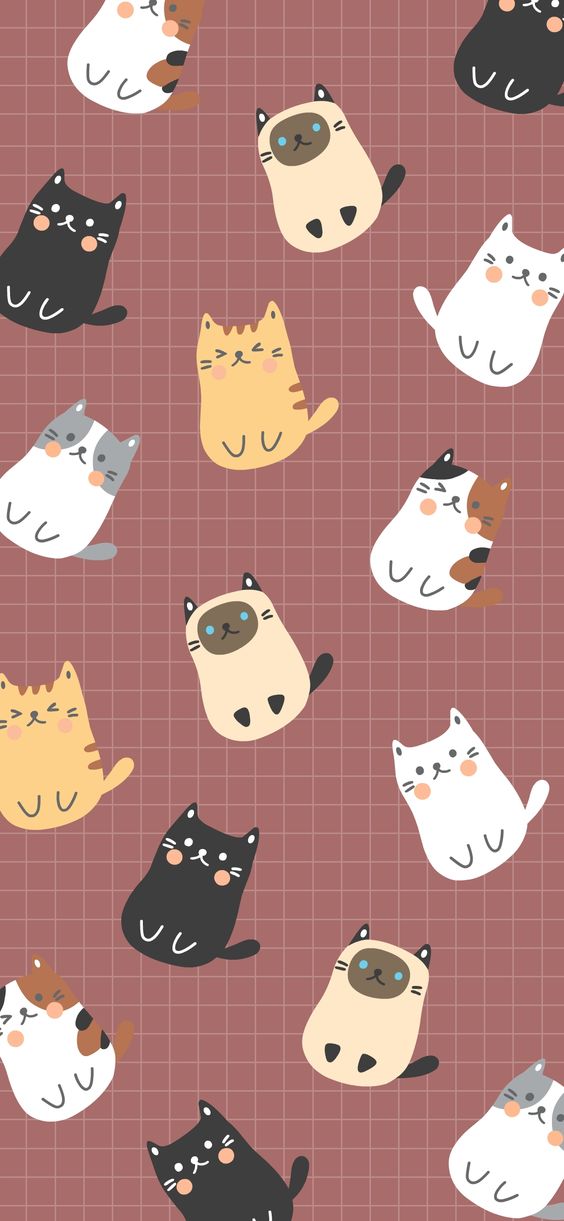 10 Wallpapers super fofos de GATINHOS para seu celular GRÁTIS! - BLOG ...