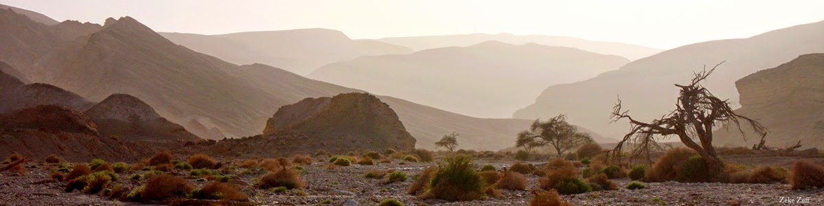 Long walks in Israel: The far south - high desert, low desert, and ...