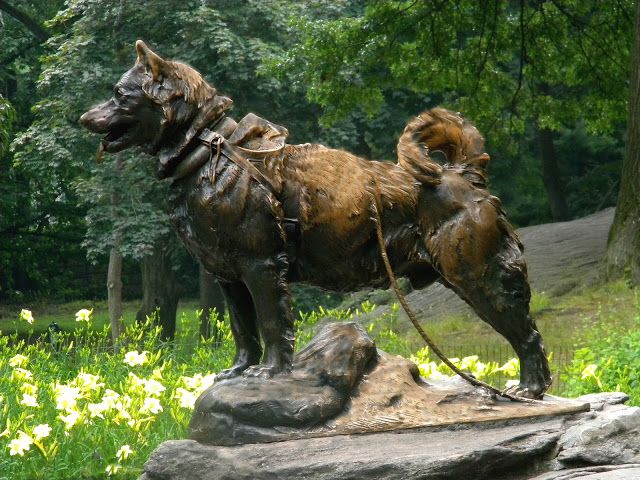 Balto - Hero of the Nome Serum Run | Australian Dog Lover