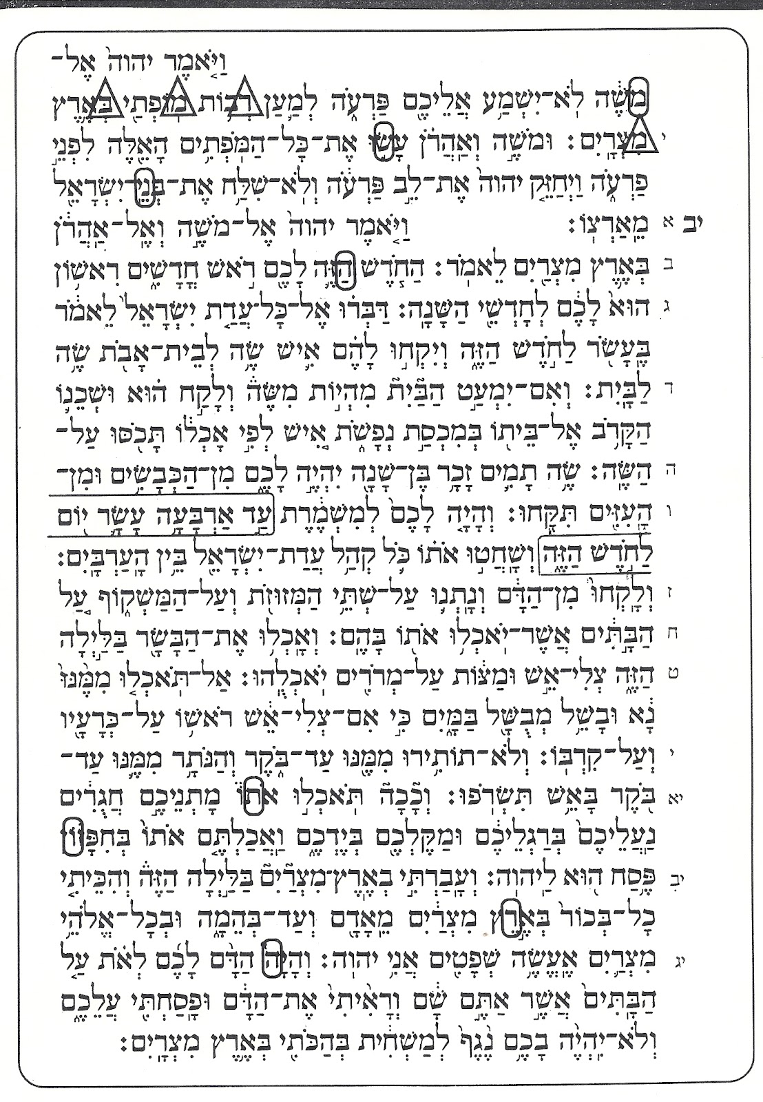 The Absolute Truth -------- בס"ד: Torah Codes