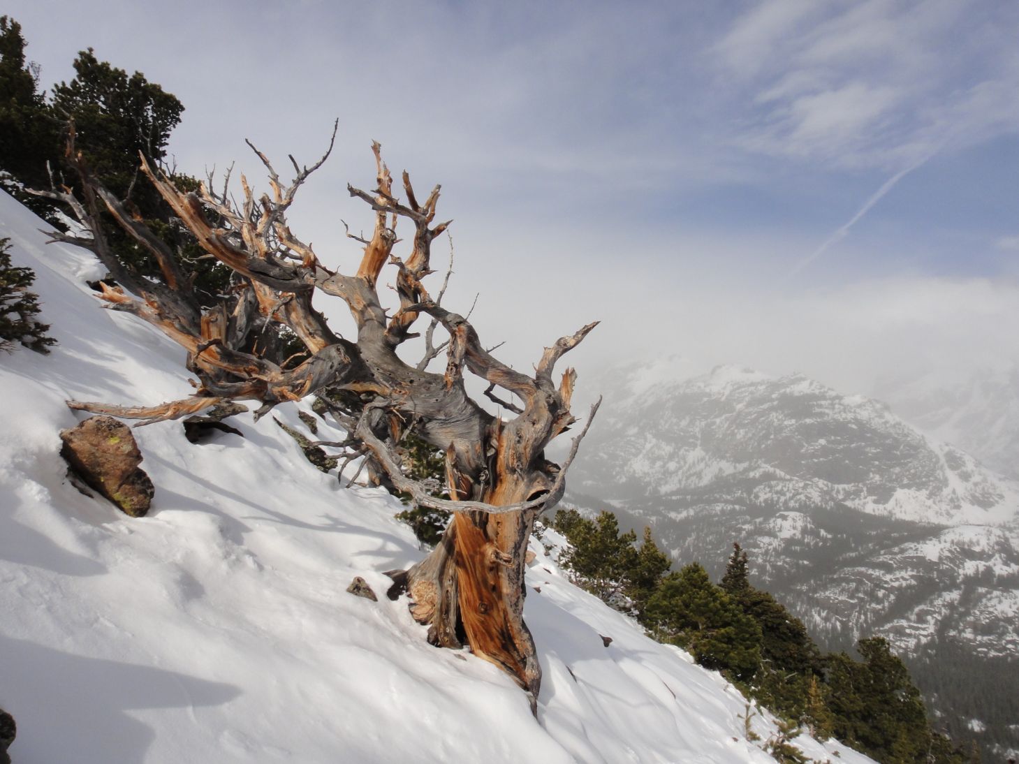 Hiking Rocky Mountain National Park: Half Mountain via Glacier Gorge TH.