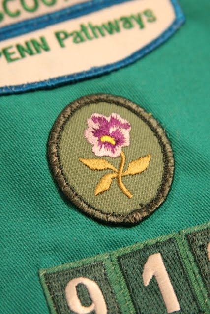 hotcakes: WFMW - Sewing Girl Scout Badges
