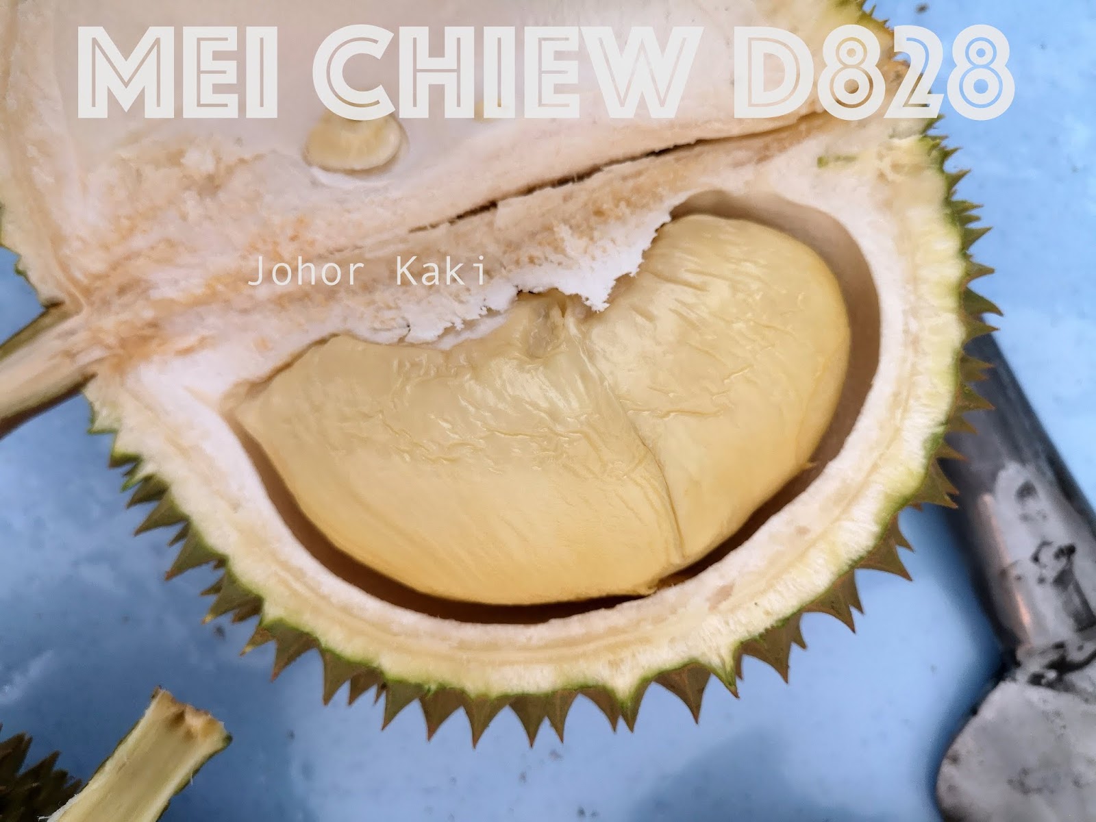 Mei Chiew / Mei Qiu D828 Durian from Yong Peng Johor 柔佛永平美樹/ 美球榴莲 |Tony ...