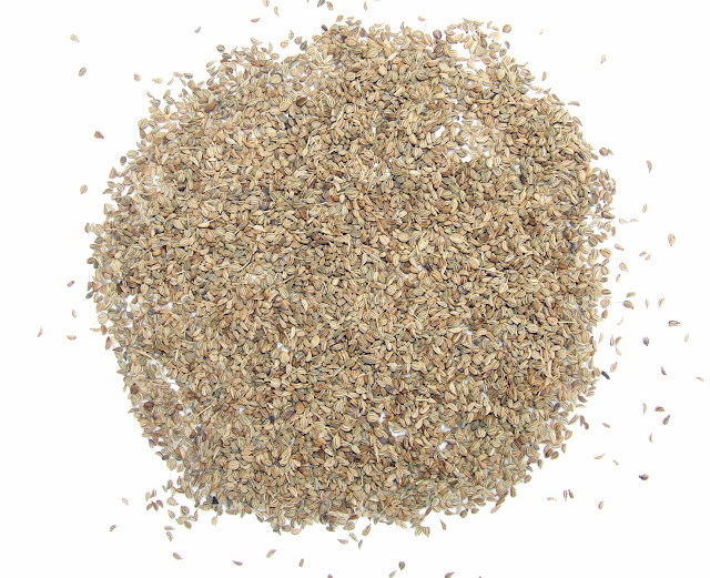 BISHOP'S SEEDS (AJWAIN) | Ambrosia