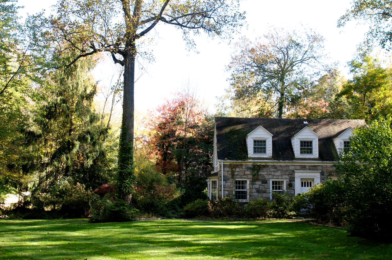 Photography in my Life: The Neighbor's House