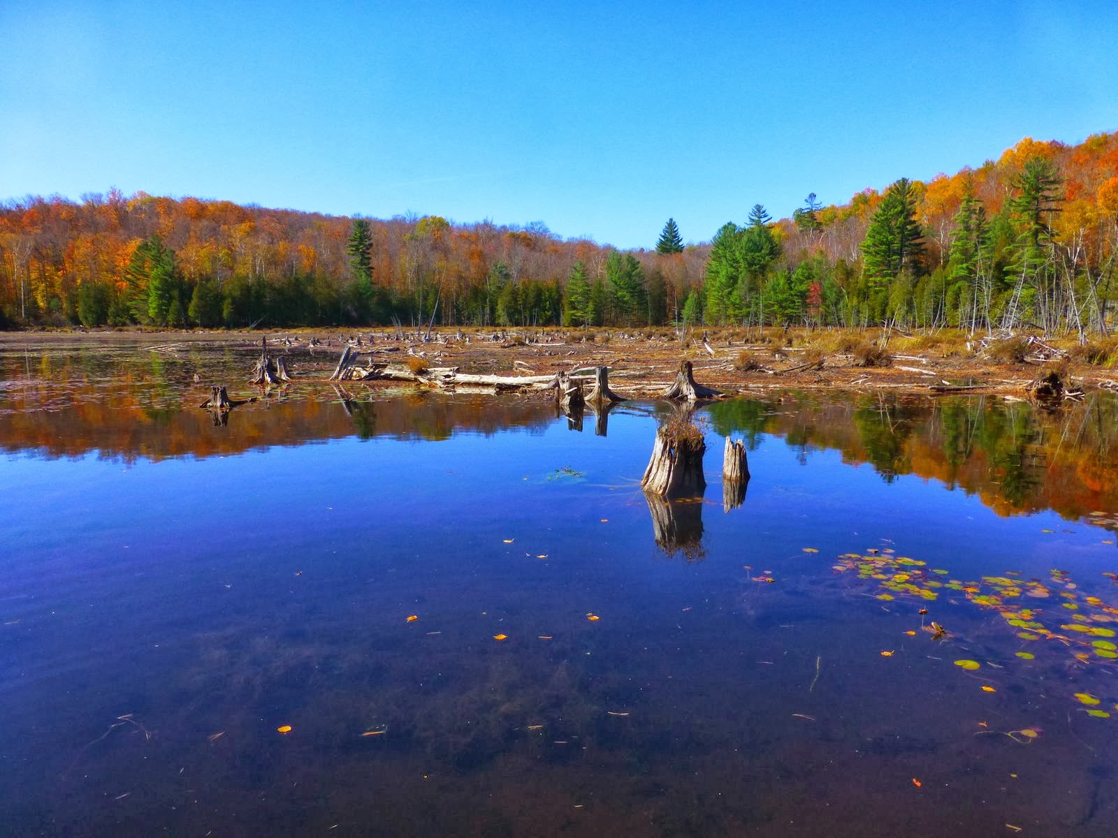 Off on Adventure: Marsh Pond Mountain - Dix Mountain Wilderness Area ...