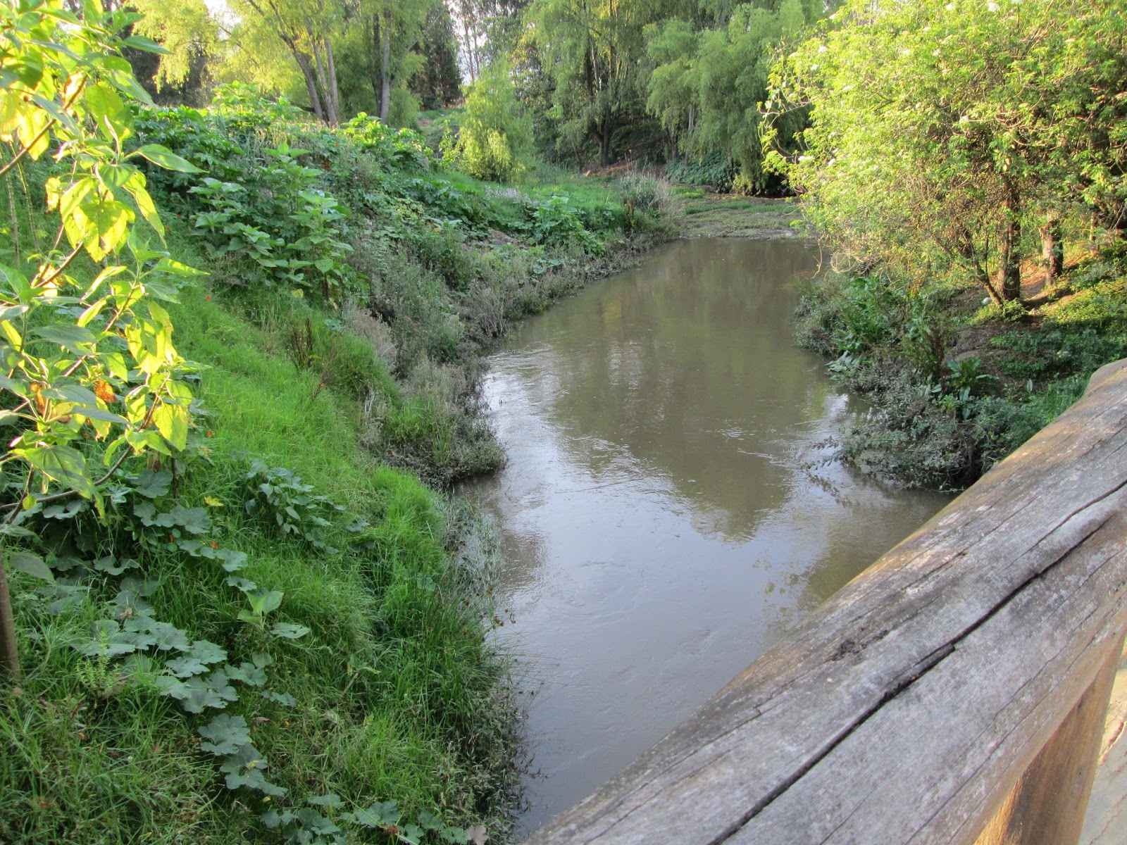 LA AGONIA DEL RIO FRIO: mayo 2013