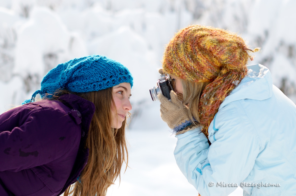 Compozitie, estetica, cromatica si echilibru