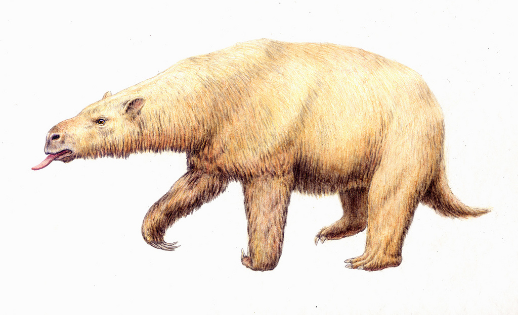 Mi blog: Milodón: El gigante extinto de la Patagonia