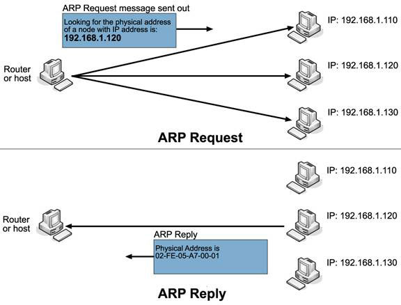 Protocol & OSI model: ARP