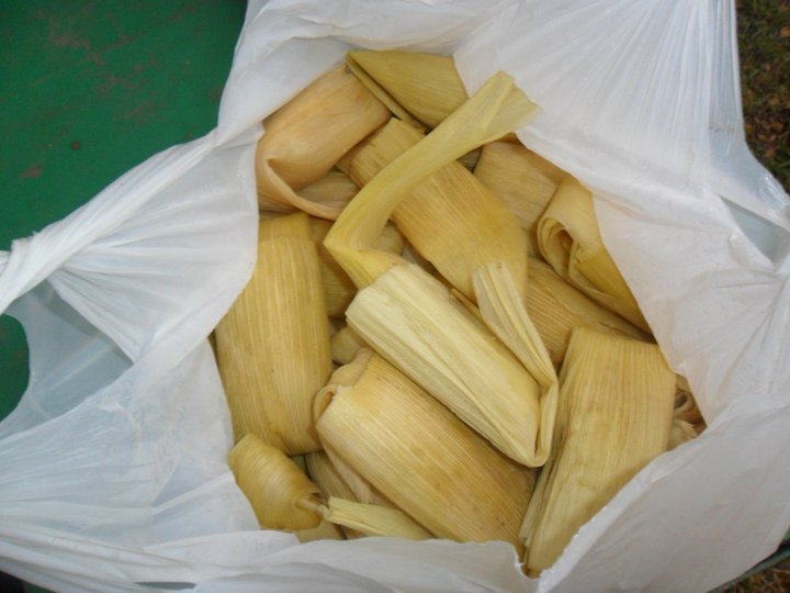 Bogo: The City of Pintos