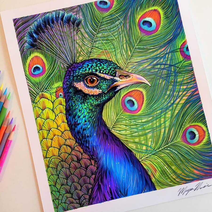 Colorful Drawings Of Animals