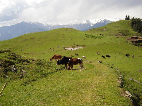 Beautiful view of shogran pakistan