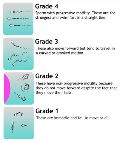 Chart Off!: 5 Insanely Scientific Charts