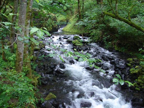 Creative Writing: Unit 3b: Visual Stimulus