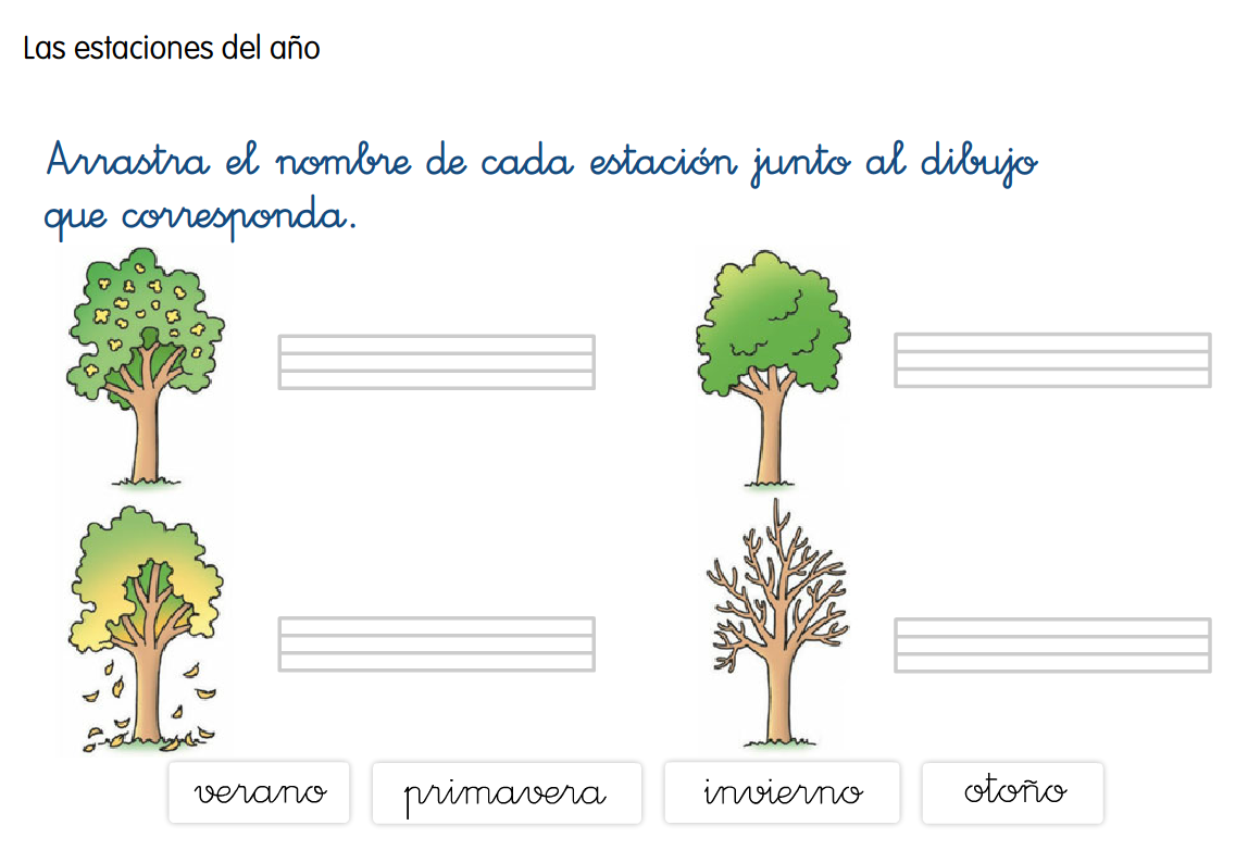 Primero de mi cole: Las plantas cambian a lo largo del año