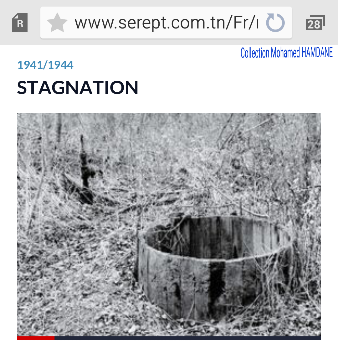 CULTURE et PATRIMOINE DE TUNISIE EN IMAGES- MOHAMED HAMDANE-ثقافة وتراث ...