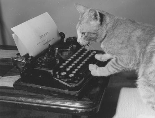 oz.Typewriter: Cats and Typewriters: Dedicated to the late Tilman Elster