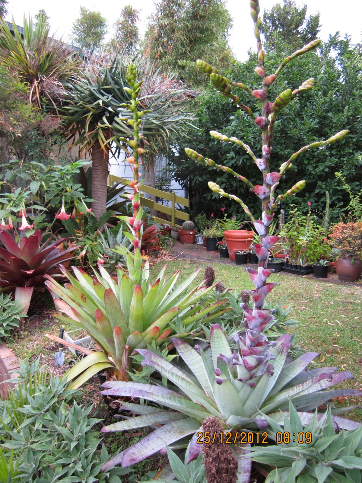 The Niche Nursery: April 2014