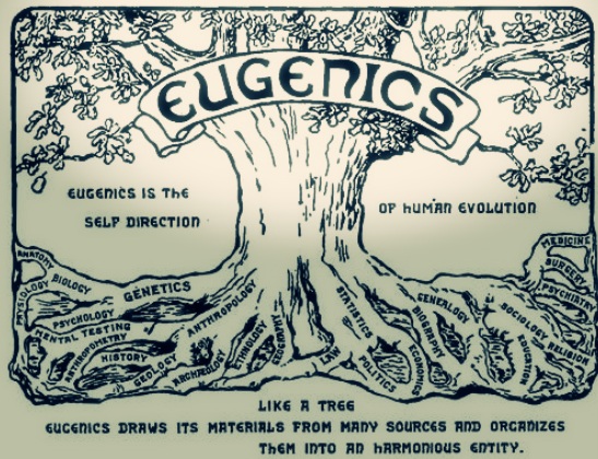 Michel Samano del Real: Modulo 16, Semana 3, Actividad: Eugenesia